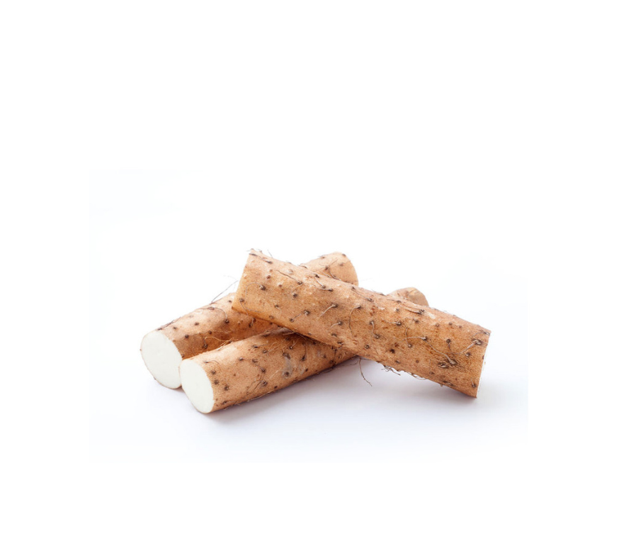 Aplantis GmbH – Your partner for wild yam extract. High-quality ...